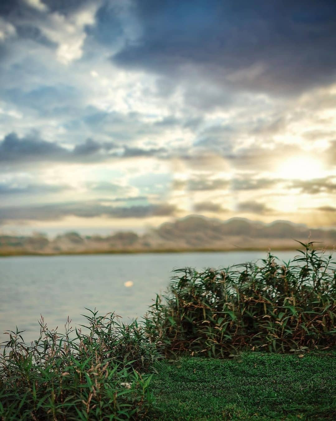 Nature Background HD – Free HD Nature Wallpapers & Backgrounds