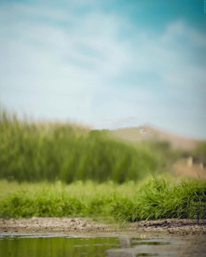 Nature Background HD – Free HD Nature Wallpapers & Backgrounds